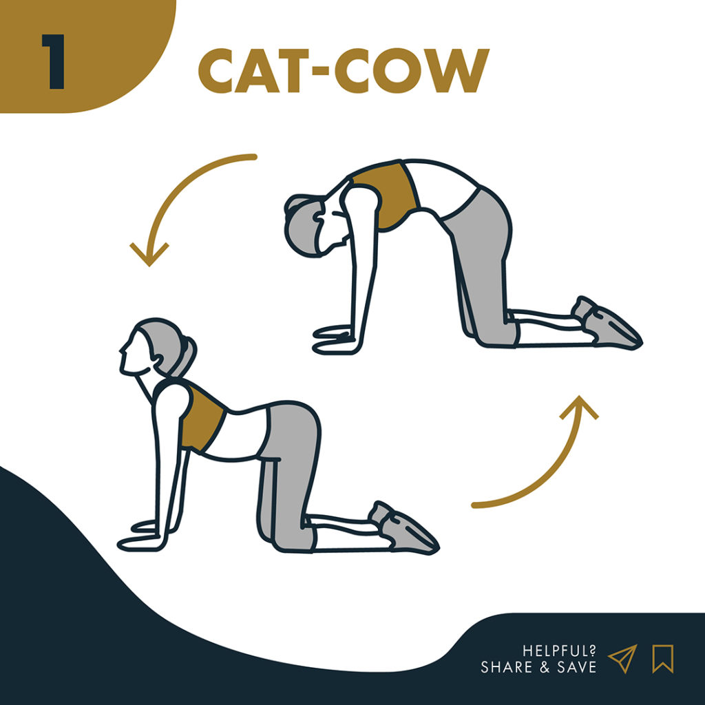 The 5 Best Exercises for Lower Back Pain, According to a Top Long ...